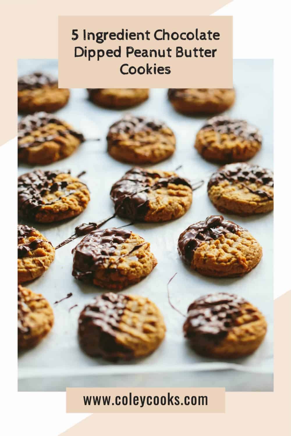 5 Ingredient Chocolate Dipped Peanut Butter Cookies - Coley Cooks