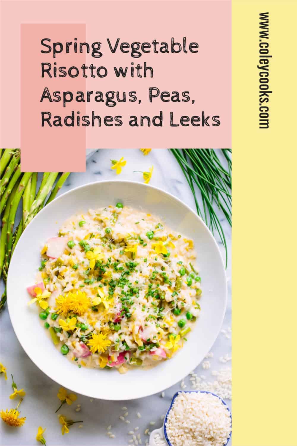 Spring Vegetable Risotto with Asparagus, Peas, Radishes and Leeks