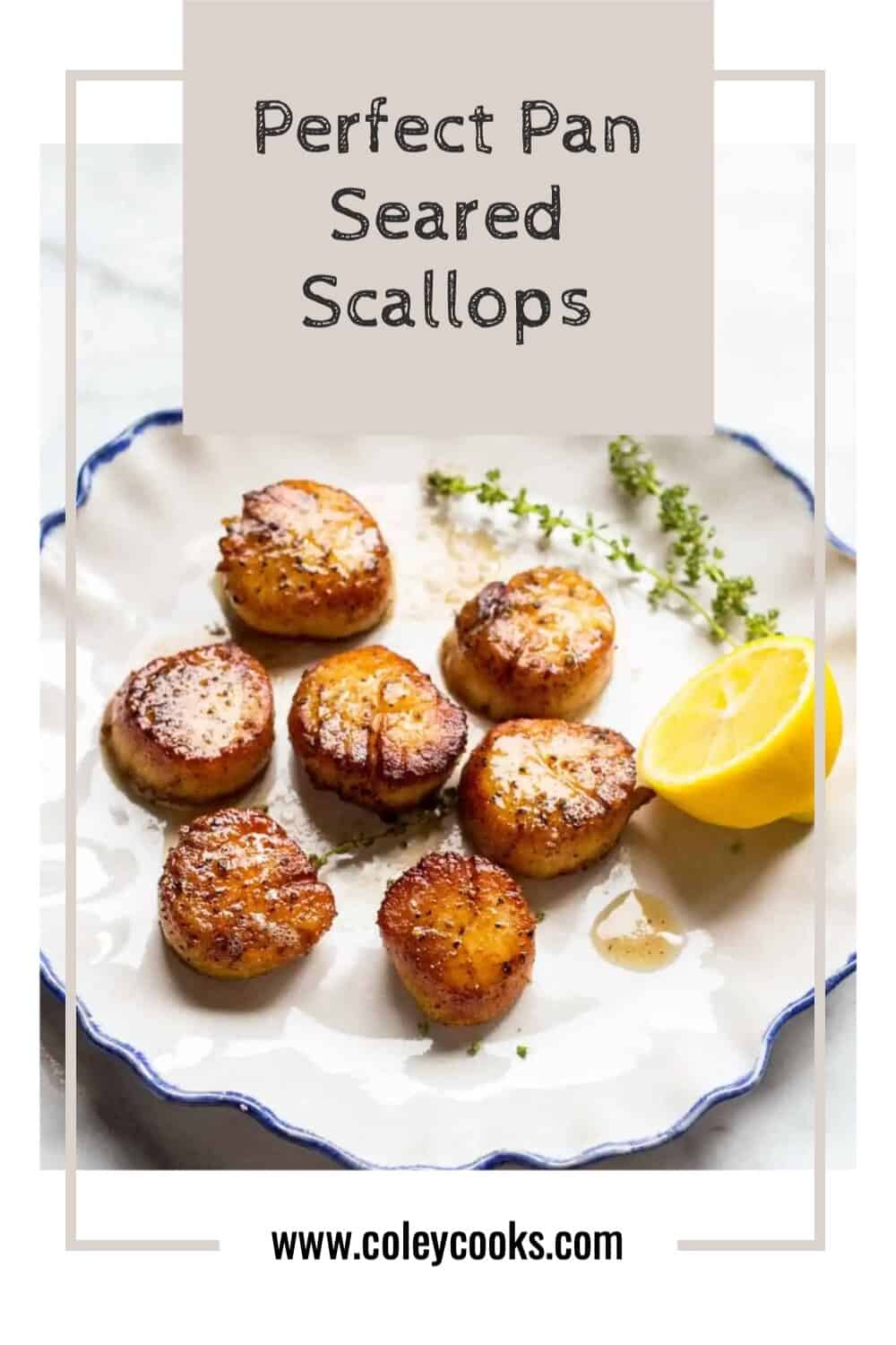 Perfect Pan Seared Scallops - Coley Cooks