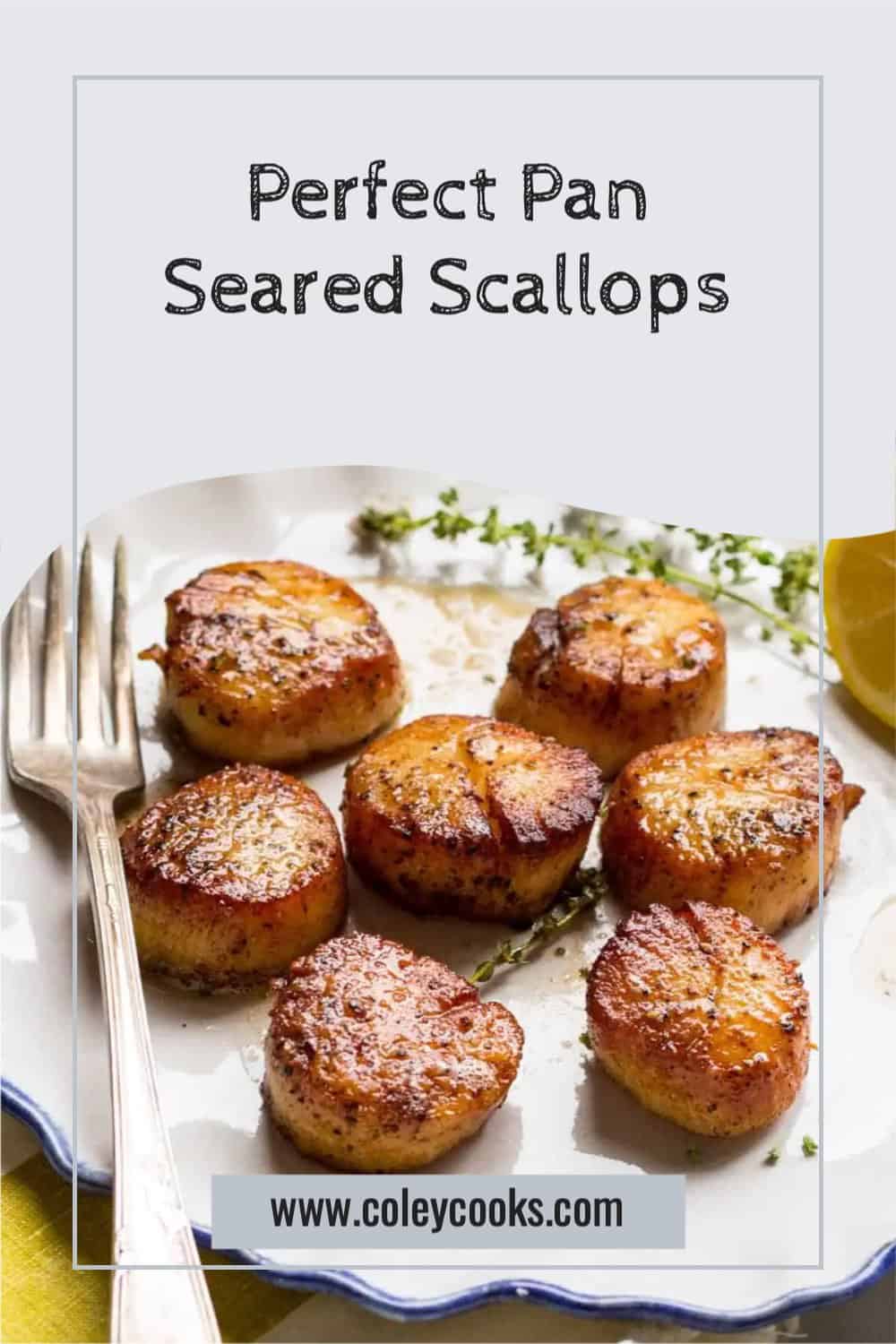 Perfect Pan Seared Scallops - Coley Cooks