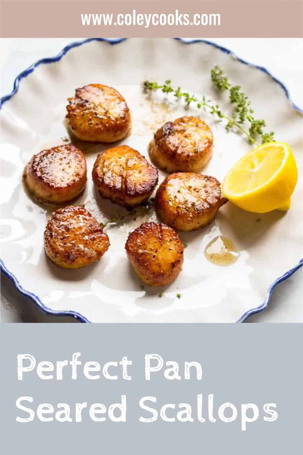 Perfect Pan Seared Scallops - Coley Cooks