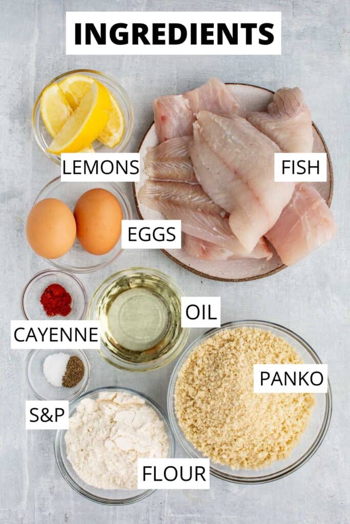Fried Fish with Panko - Coley Cooks