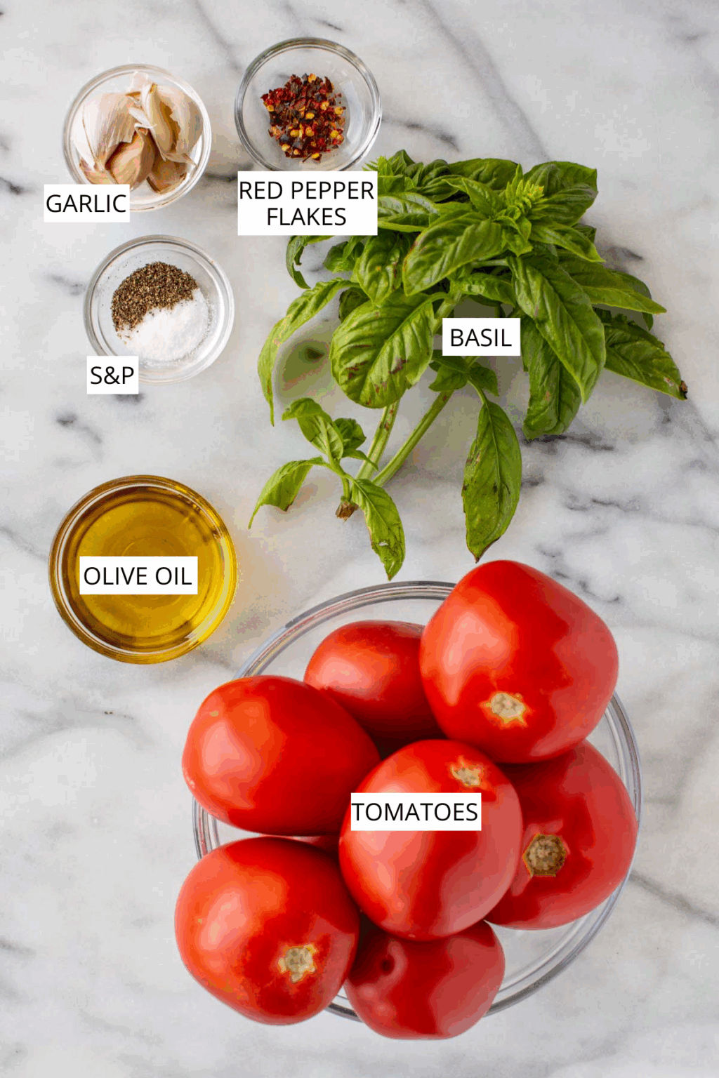 Homemade Tomato Sauce (with Fresh Tomatoes) - Coley Cooks